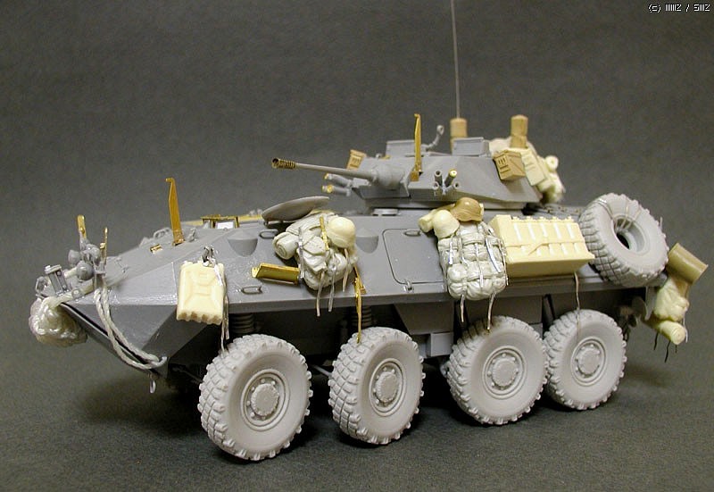 MMZ - LAV-25